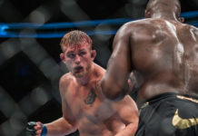 Nordic MMA and UFC with MMA Viking