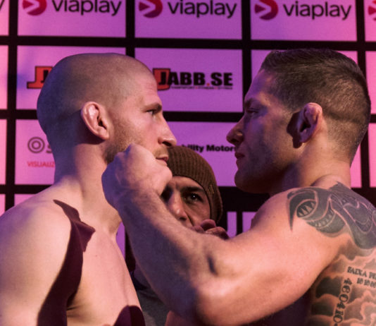 Nordic MMA Everyday at MMA Viking | Discover Nordic MMA