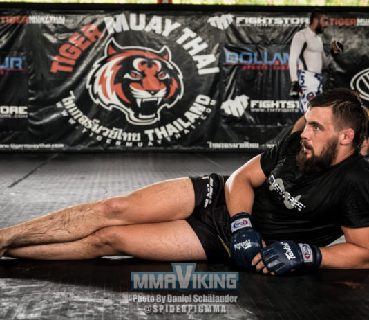 Nordic MMA and UFC with MMA Viking